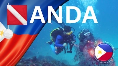Dive Guide to Anda, Bohol – Sites, Reefs & What Divers Can Expect