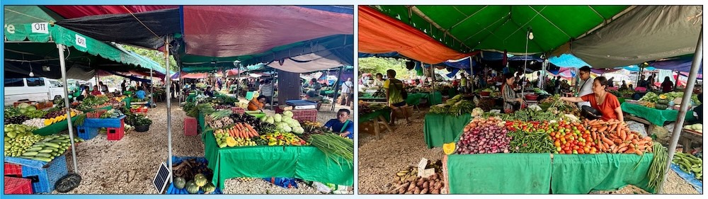 Grocery Shopping in the Philippines 2025 – Costs, Choices & Tips for Expats